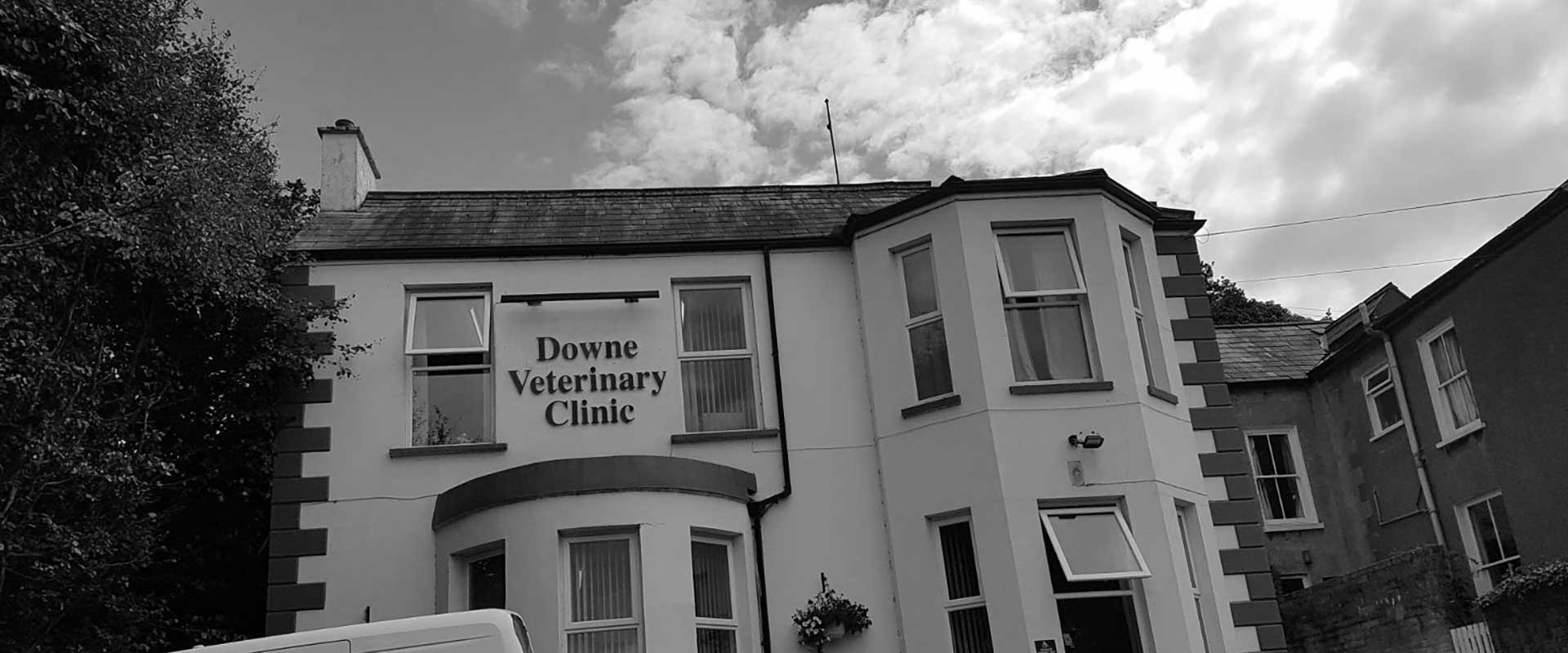Downpatrick Clinic - Downe Veterinary Clinic