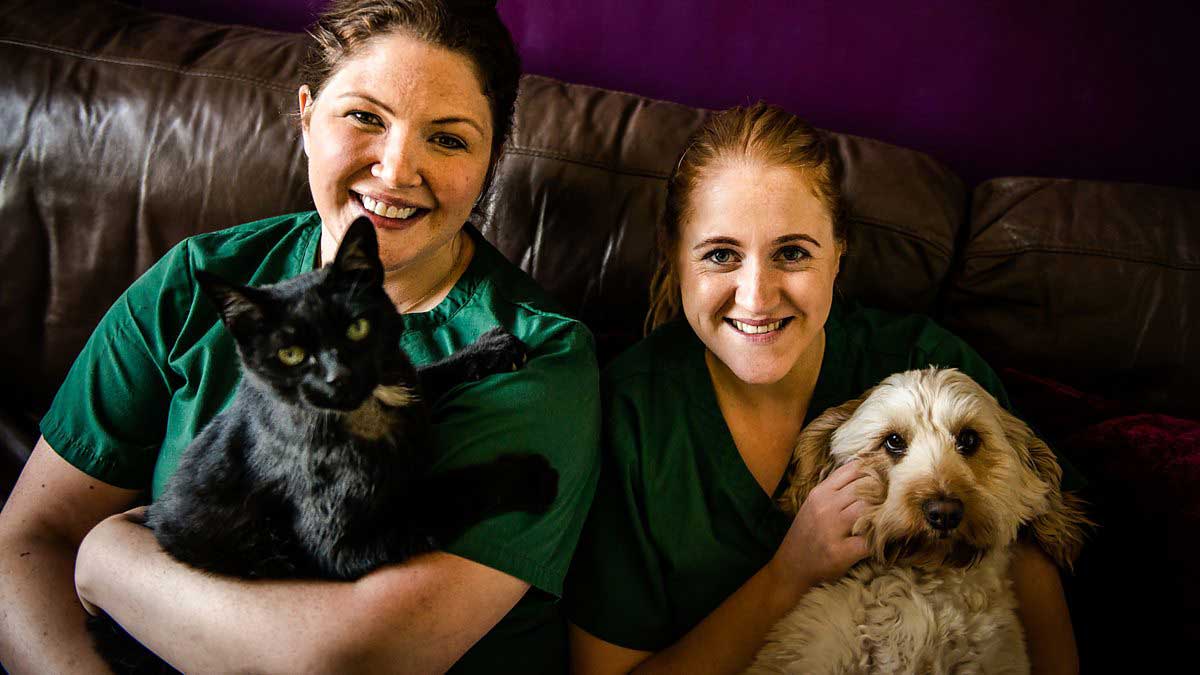 Downpatrick Clinic - Downe Veterinary Clinic